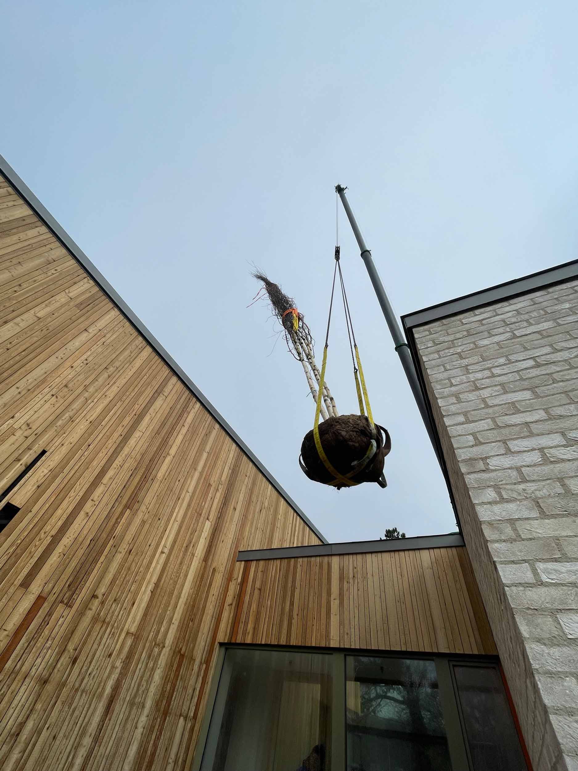 Home from home - passivehouseplus.ie